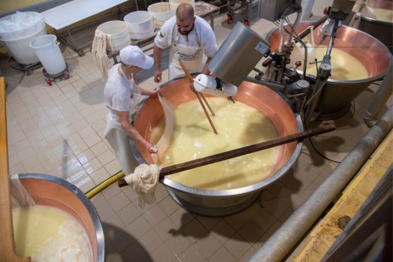 The Majestic Parmesan Cheese: From Origin to Aging