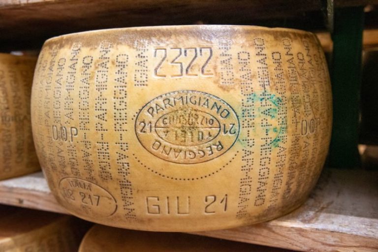 The Majestic Parmesan Cheese: From Origin to Aging