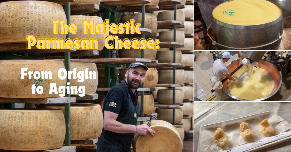 The Majestic Parmesan Cheese: From Origin to Aging